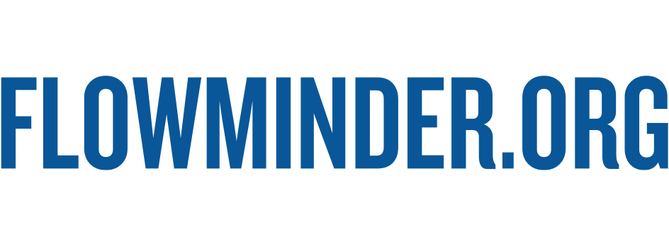Flowminder | Engineering For Change