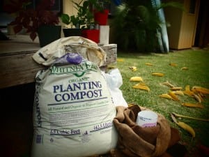 How to make a sack garden | Engineering For Change