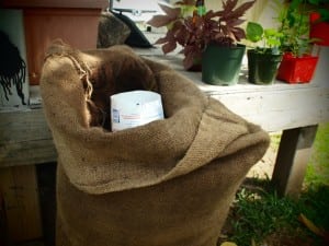 How to make a sack garden | Engineering For Change