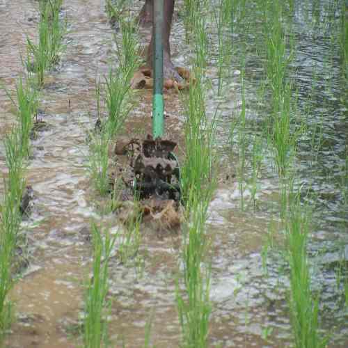 KSNM Cono Weeder | Engineering For Change