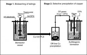 Biomining the Elements of the Future | Engineering For Change