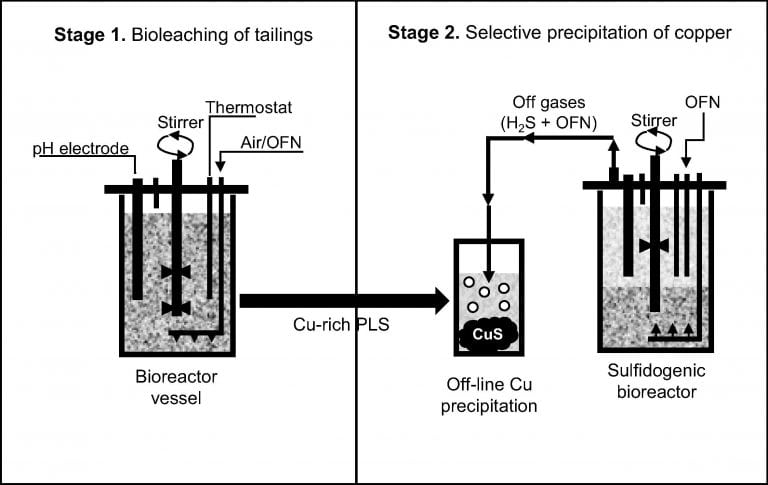 Biomining the Elements of the Future | Engineering For Change