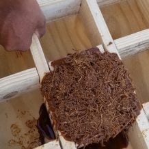 Anna Libey Member Profile | Engineering For Change