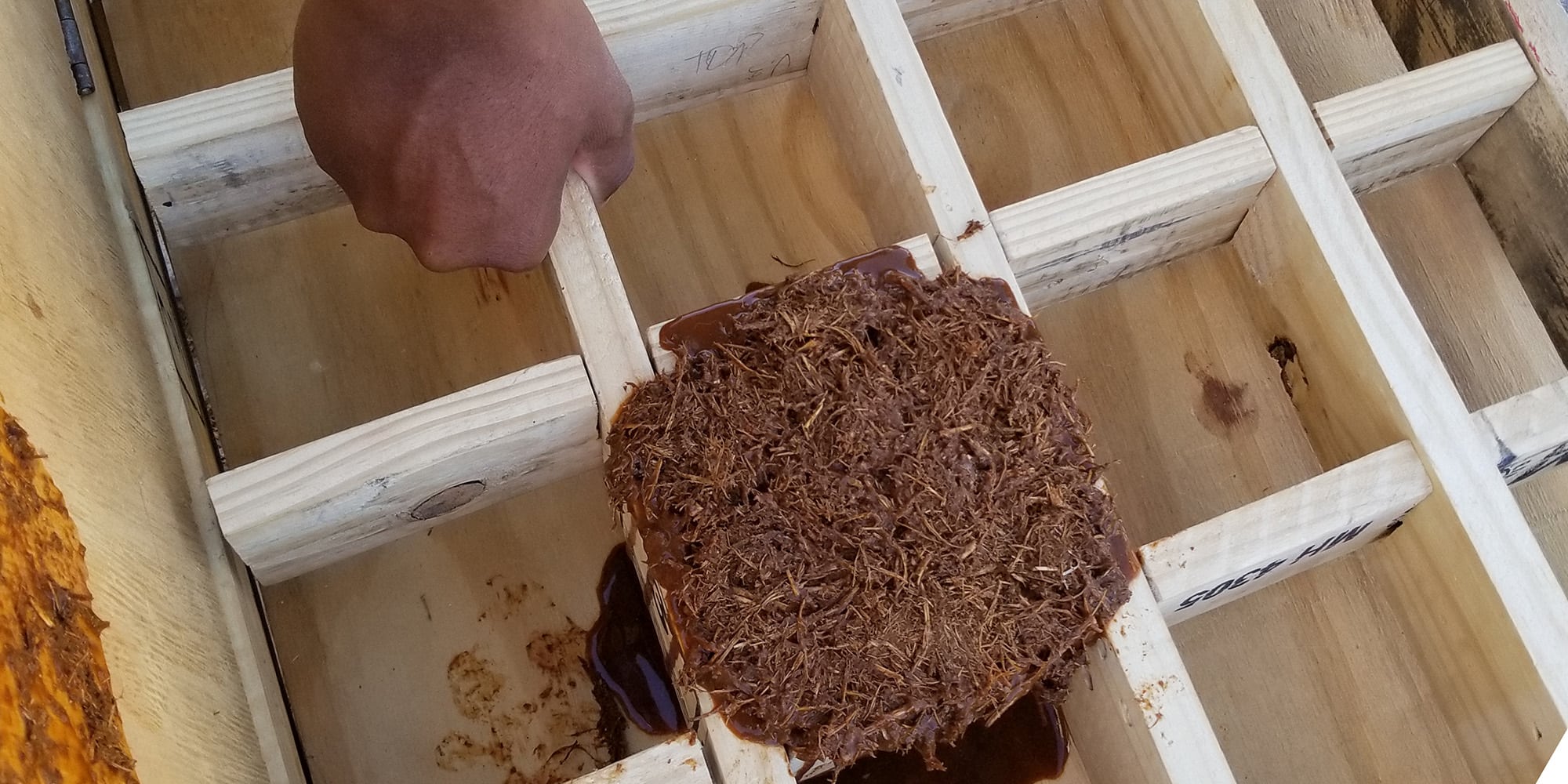 Designing Elephant Repellent in Botswana