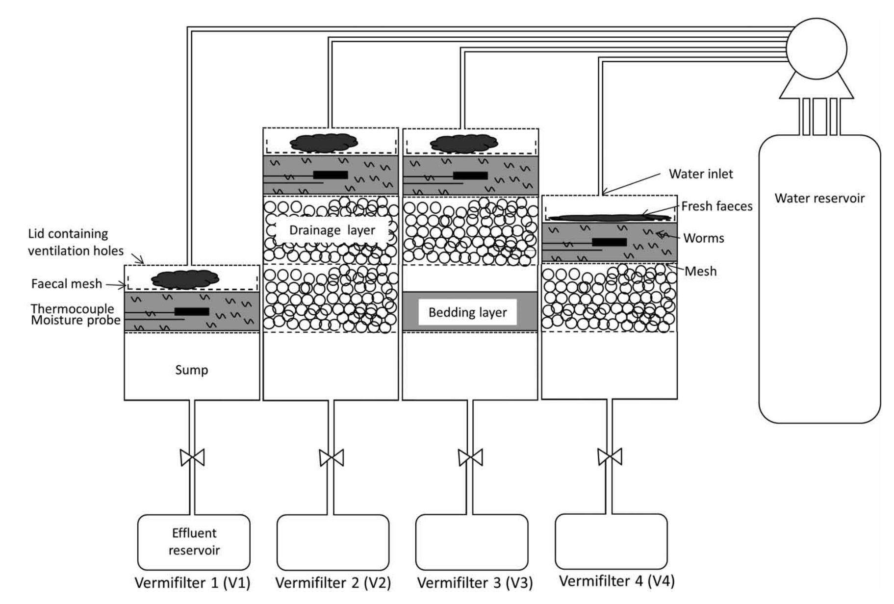 Tiger Toilet | Engineering For Change