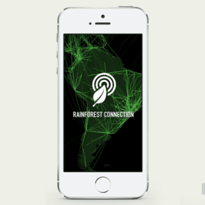 Rainforest Connection | Engineering For Change