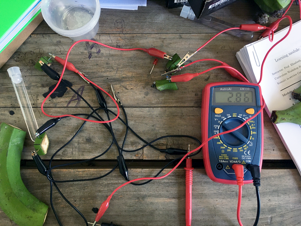Leave Bananas for Electrochemistry | Engineering For Change