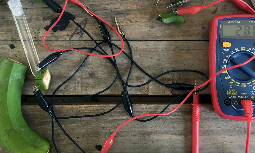 Leave Bananas for Electrochemistry | Engineering For Change