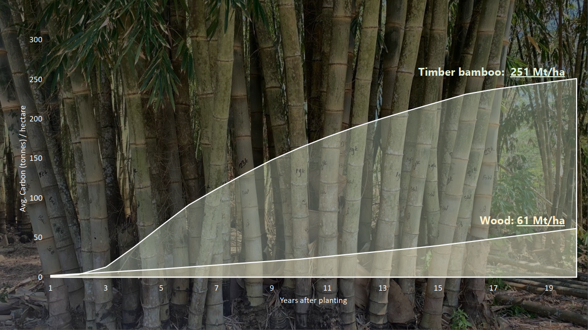 How Bamcore Reduces Carbon Footprints in Housing Construction