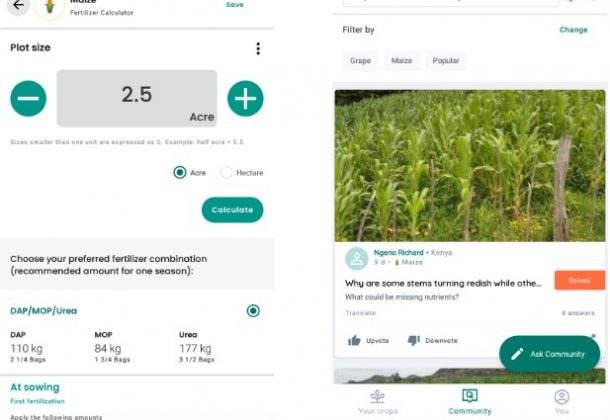 Plantix | Engineering For Change
