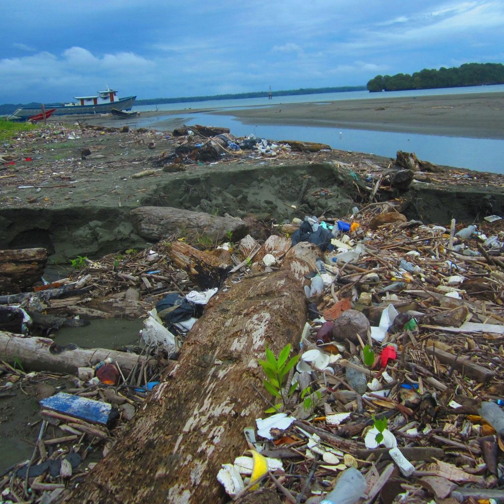 Habitat Archives | Engineering For Change