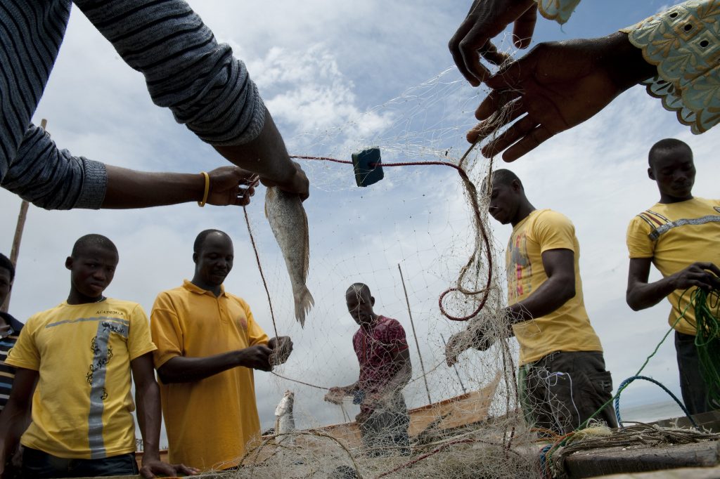 Using the Ocean to Fight Climate Change Raises Serious Environmental ...