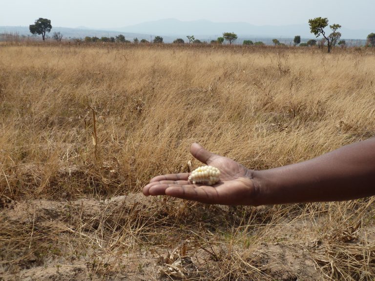 Farmers Worldwide Face a Soaring Risk of Flash Droughts, New Research ...