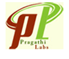 Pragathi Labs & Consultants PVT LTD | Engineering For Change