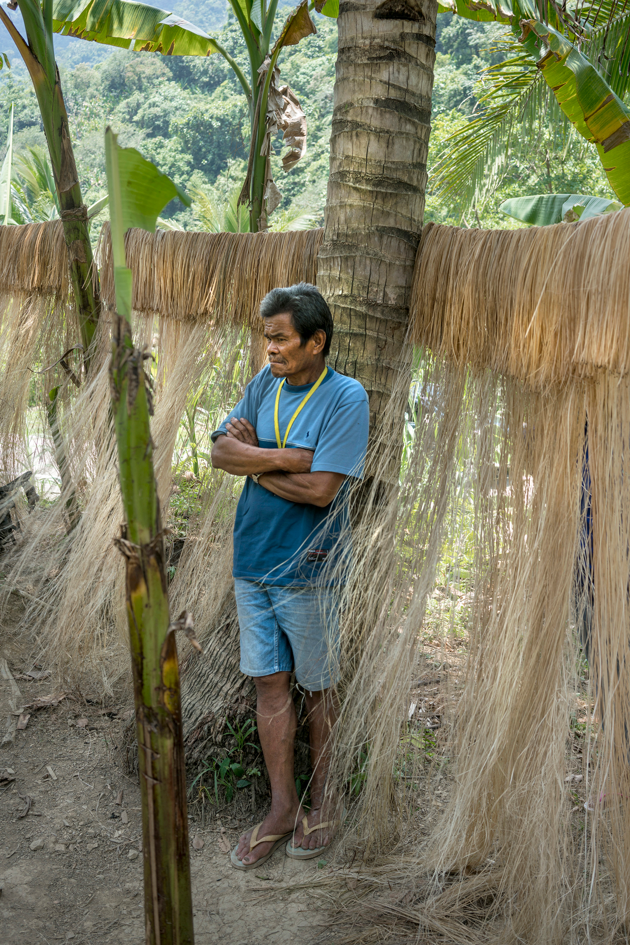 Banana Fiber Textiles Venture into the Sustainability Gap | Engineering ...