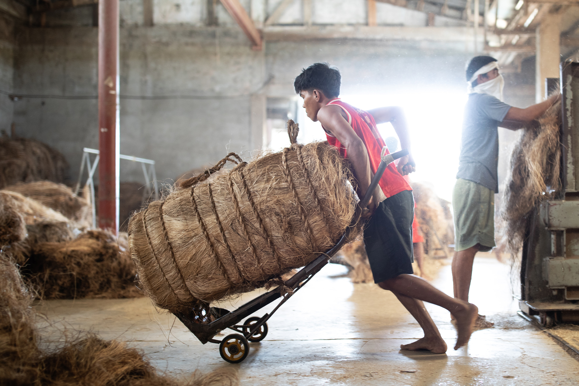 Banana Fiber Textiles Venture into the Sustainability Gap | Engineering ...