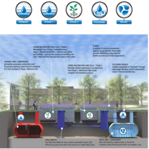 The Living Machine | Engineering For Change