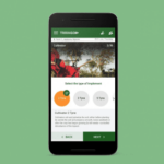 Trringo | Engineering For Change