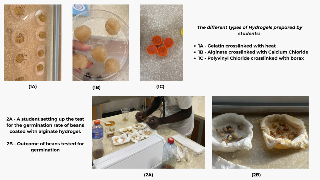 How a Practical Experiment in Sustainable Development Teaches ...