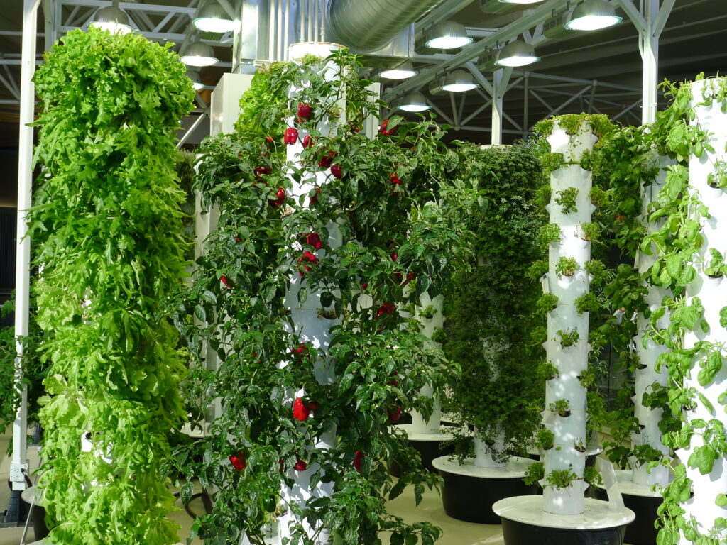 Vertical Farming: A Practical Approach to Modernizing Farms in Africa ...