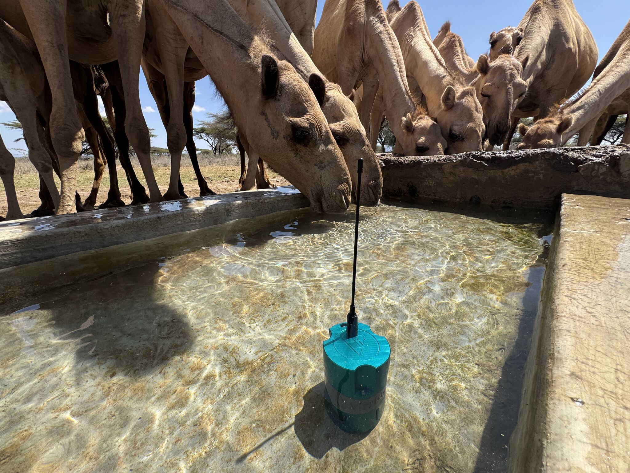 News and Insights | Page 3 of 125 | Engineering For Change