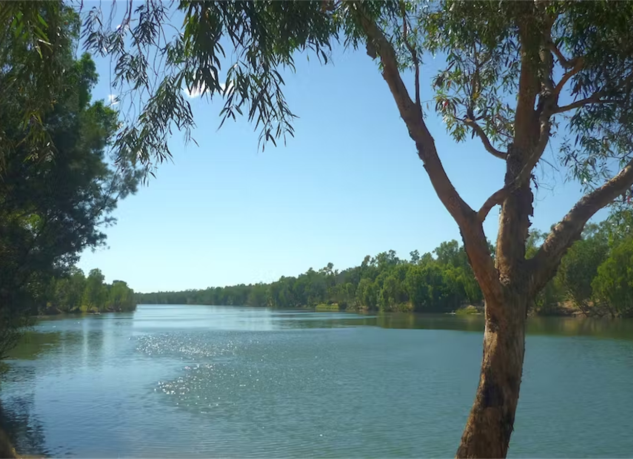 Creating an Open-Source Library of Nature-Based Solutions | Engineering ...